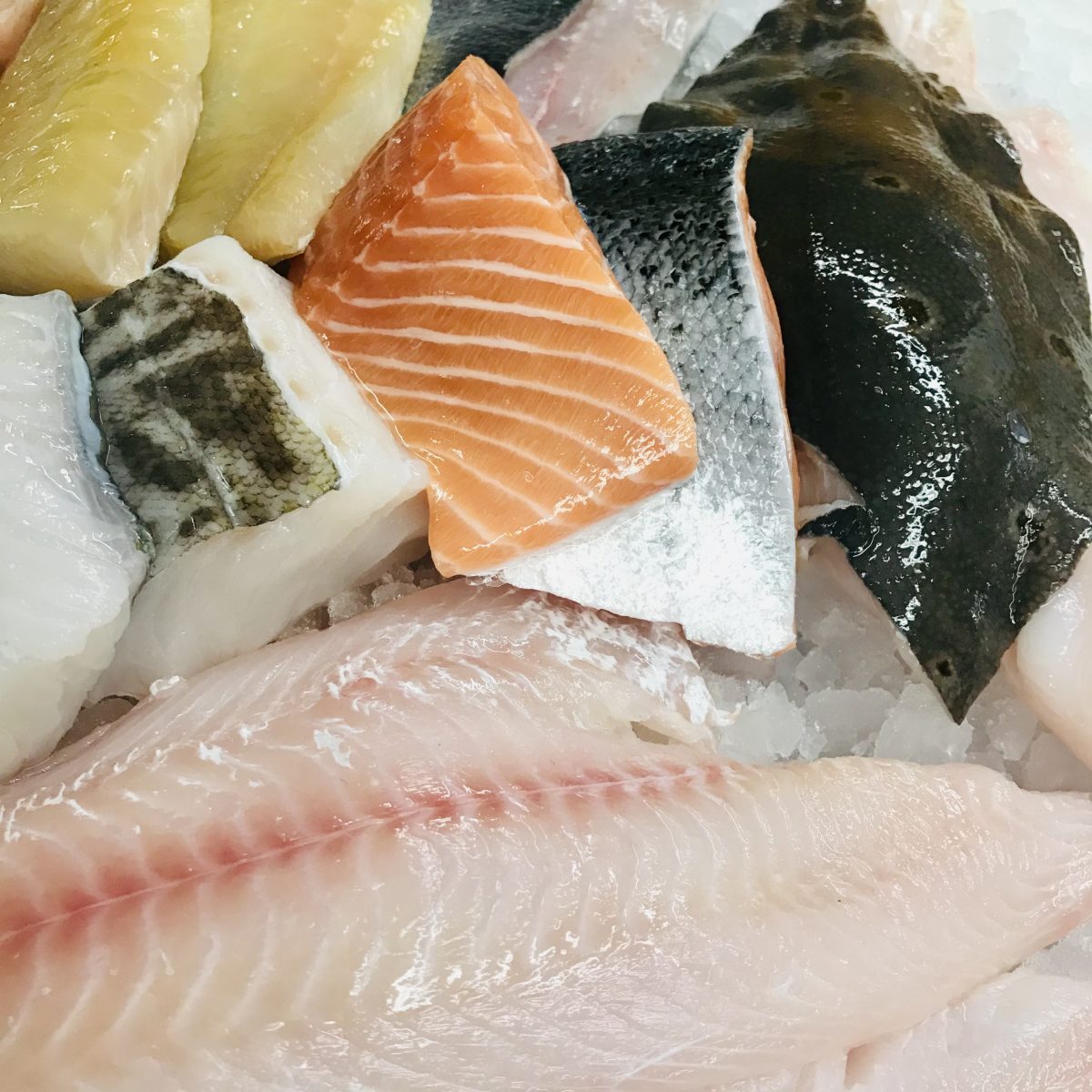 Fish Boxes – Sailbrand