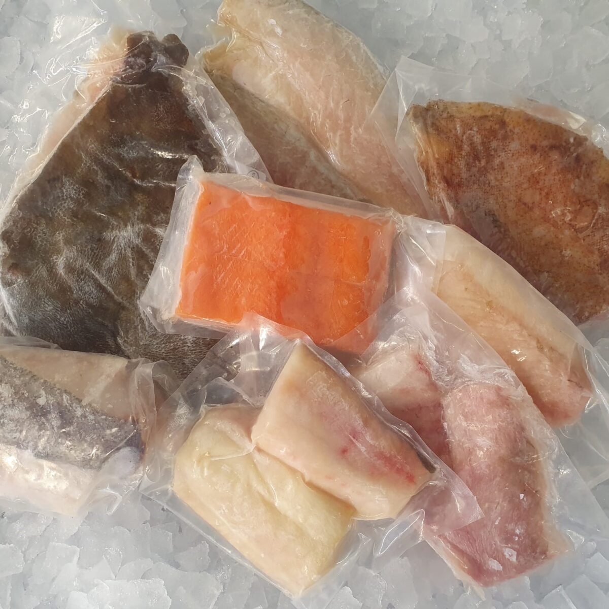 Fish Boxes – Sailbrand