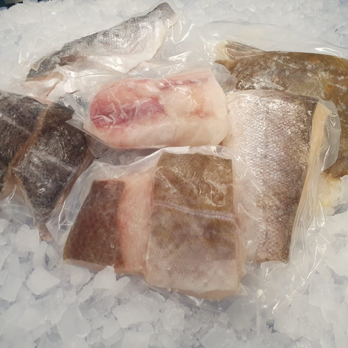 Fish Boxes – Sailbrand